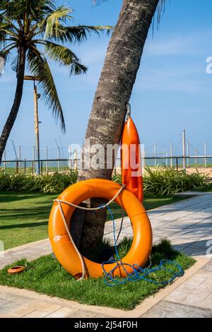 life buoy and circle. Safety for swimmers Stock Photo - Alamy