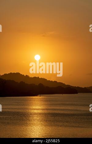Panama landscape with beautiful rainforest at sunrise in Soberania ...