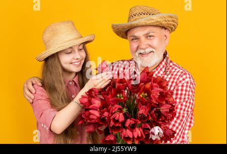 happy old granddad with grandchild hold tulip flowers on yellow ...