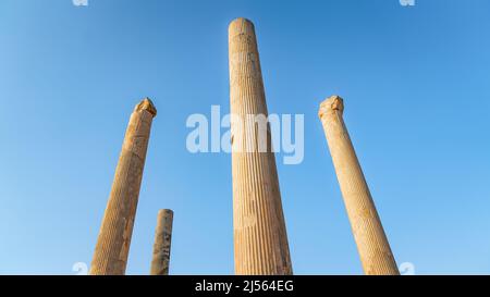 Persepolis, Iran - May 2019: Ruins of Persepolis, the capital of the ...