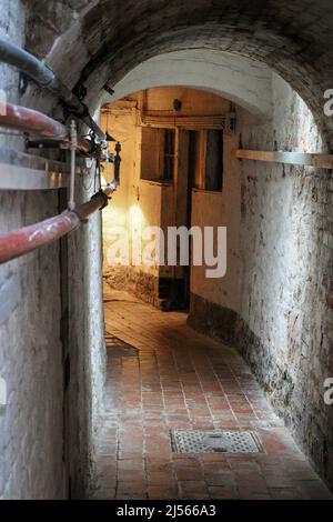 Cellar Passageway / Underground dungeon Stock Photo - Alamy