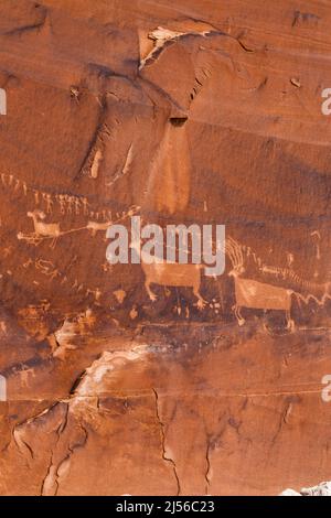 Procession Panel petroglyphs, Comb Ridge area, Bears Ears National ...