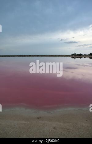 Pink lagoon with sunset, Las Coloradas, Yucatan, Mexico Stock Photo - Alamy
