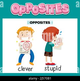 Opposite words for clever and stupid illustration Stock Vector Image ...