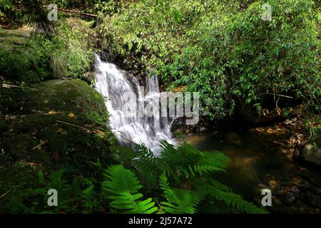 Wanggu Waterfall a waterfall located in Pingxi District, New Taipei ...