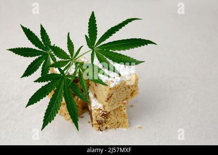 Homemade pie and powdered sugar with CBD oil. Cannabis kitchen ...