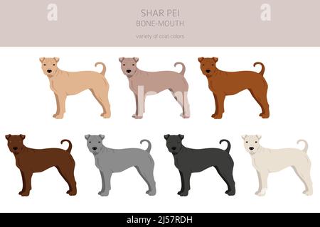 Shar Pei bone mouth clipart. Different poses, coat colors set. Vector ...