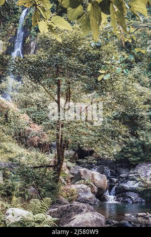 Kaeng nyui waterfall in Vang Vieng, Laos. Tropical rainforest waterfall ...