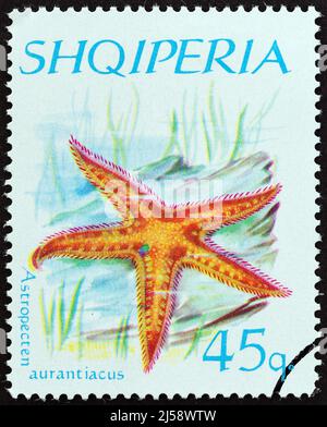 Comb sea star from the Mediterranean Sea Stock Photo - Alamy