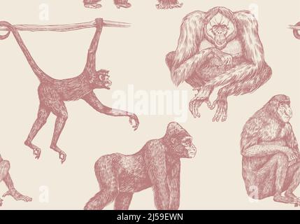 Capuchin pattern seamless background texture repeat wallpaper geometric ...