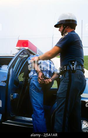 Police officer assisting arrested man into police car Stock Photo - Alamy
