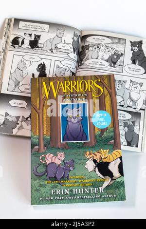 Warriors Are Manga Adventure Graphic Novels with the Feline Character ...