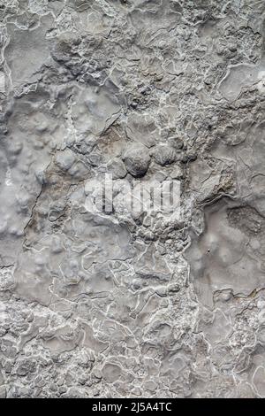 Stone texture covered with calcium deposits. Pamukale texture Stock ...