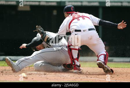 Chicago White Sox's Gavin Sheets (32) and Korey Lee celebrate after ...