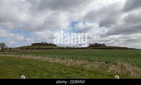 Earth Trust Wittenham clumps Oxfordshire Stock Photo - Alamy