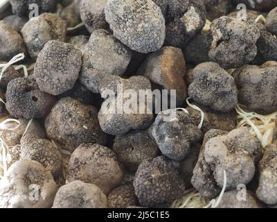 Group of delicious raw whole truffle Stock Photo - Alamy