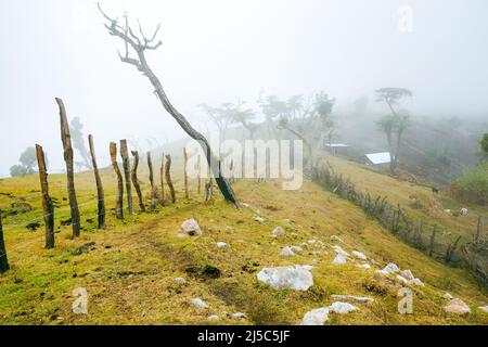 Small scale settlements on Mount Mtelo in West Pokot, Kenya Stock Photo ...