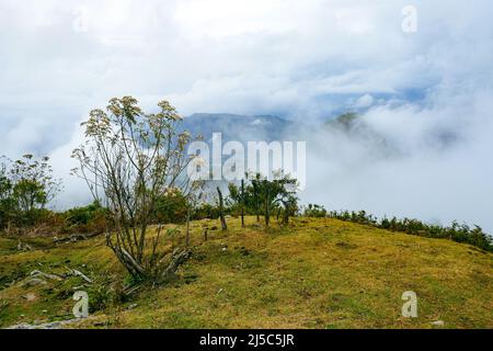 Foggy Mountain landscapes at Mount Mtelo, West Pokot, Kenya Stock Photo ...