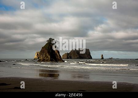 Eroded rocks along the coast of Washington in the Olympic National Park ...