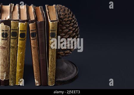 Old dilapidated books stand between holders in the form of spit cones ...