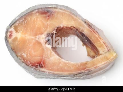 Popular rohu fish sliced and frozen over white background Stock Photo ...
