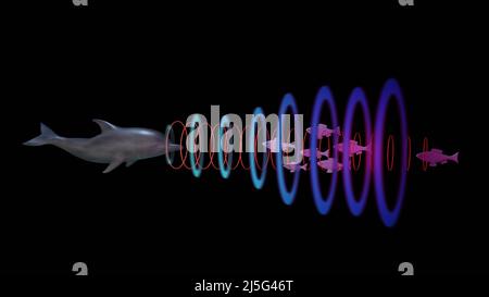 Dolphin emitting sonar , echolocation signals . 3d render illustration ...