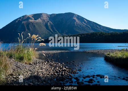 Toitoi grass growing on foreshore of Lake Rotoiti, Nelson Lakes ...