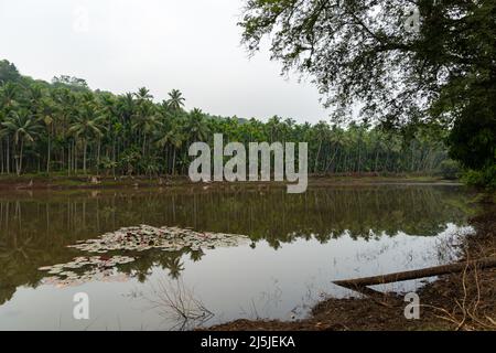 Beautiful early morning view of Shri Vijayadurga temple lake at Querim ...