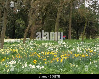 Dublin Ireland Botanic garden flowers creeks and forest Stock Photo - Alamy