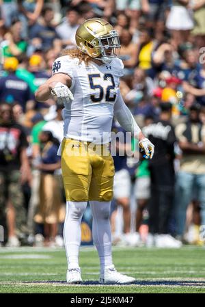Notre Dame linebacker Bo Bauer runs a drill during NFL pro day football ...