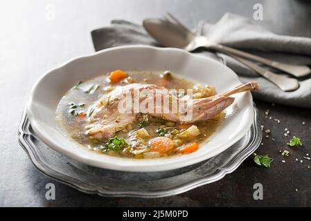 Grey rabbit eating carrot on red carpet.Cute and fluffy animal at home ...