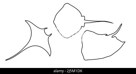 Manta ray icon. Outline manta ray vector icon for web design isolated ...