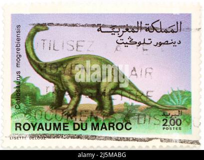 Illustration of a cetiosaurus Stock Photo - Alamy