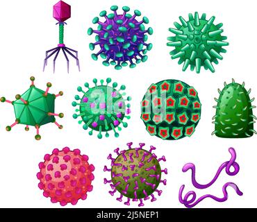 Different shapes of viruses illustration Stock Vector Image & Art - Alamy