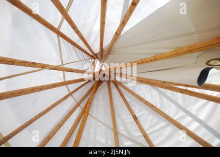 Indoor view of top of tipi with poles and white fabric at campsite ...