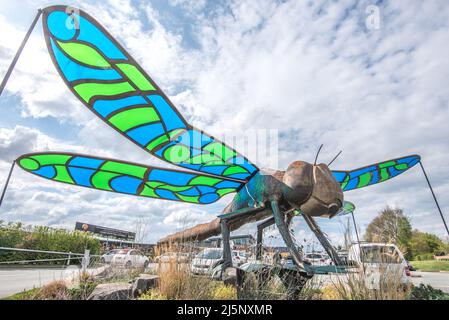 Shrewsbury Flower Show Stock Photo - Alamy