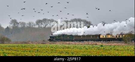 Special steam train on UK mainline, near Sherburn in Elmet, West ...