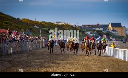 Laytown Beach Races, Drogheda, County Meath, Ireland Stock Photo - Alamy