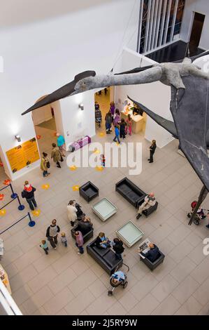 The Ulster Museum at Botanic Gardens, Stranmillis, Belfast Northern ...
