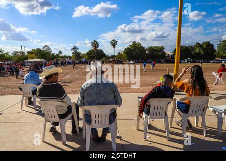 Men watch the llama baseball game on a dirt field. Marte R. Gómez or ...