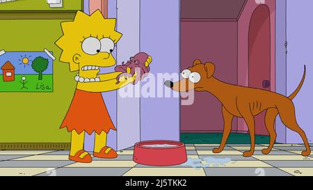 THE SIMPSONS, (from left): Santa's Little Helper, Homer Simpson, Lisa ...