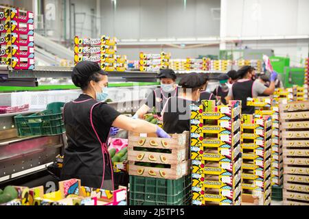 Velez-Melaga, Spain - September 23, 2020: Women in protective mask sort ...