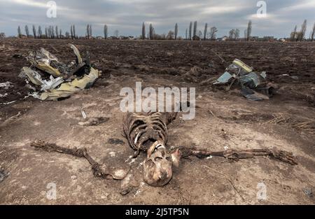 Ukraine. 23rd Apr, 2022. Skeletons of dead Russian military pilots ...