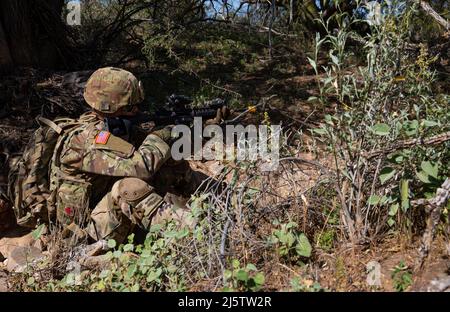 A Soldier with A-Company, 1-158th Infantry Battalion, Arizona Army ...