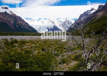 Vegetation on Andes foothills and slopes Stock Photo - Alamy