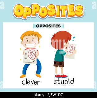 Opposite words for clever and stupid Stock Vector Image & Art - Alamy