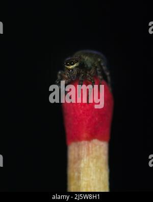 colorful matchstick isolated on white background Stock Photo - Alamy
