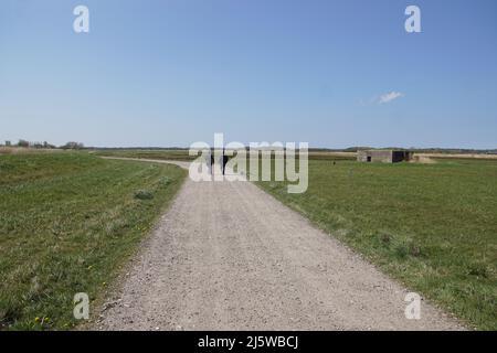Unpaved road with grass and a building near green mountains under ...
