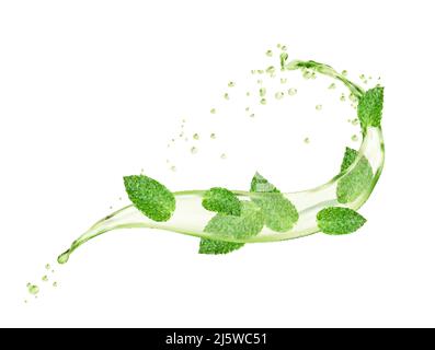 Splash of green tea with mint, matcha isolated on transparent ...