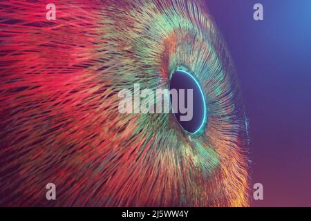 Abstract eye background. Centric motion of star trails. Starburst ...